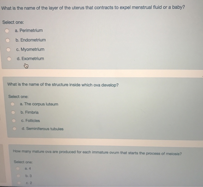 Solved What is the name of the layer of the uterus that | Chegg.com