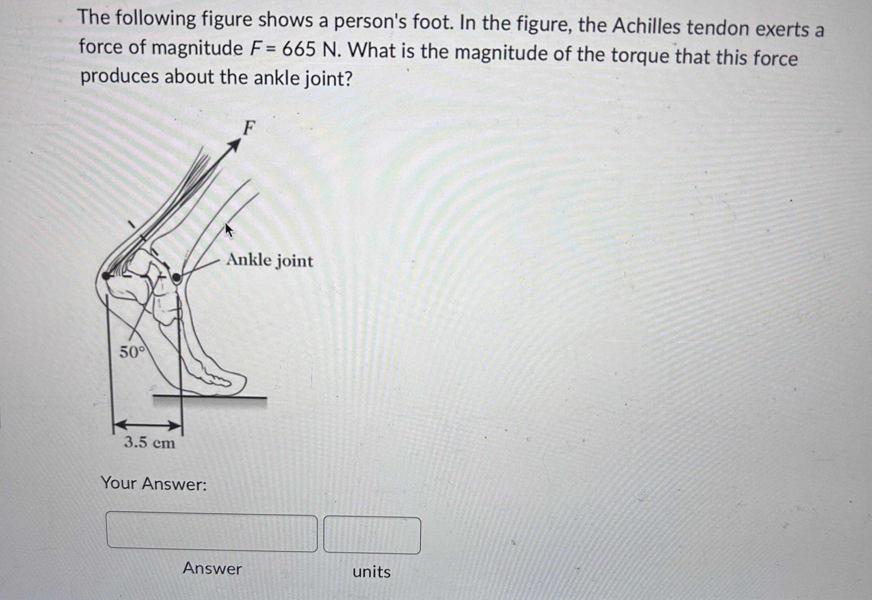Solved The following figure shows a person's foot. In the | Chegg.com