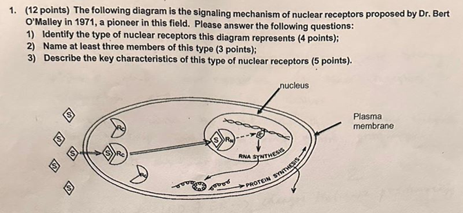 Solved 1. (12 points) The following diagram is the signaling | Chegg.com
