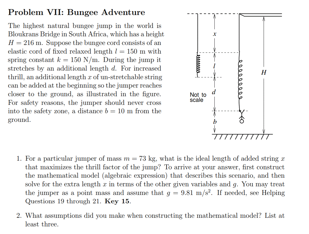 Solved х Problem VII: Bungee Adventure The highest natural | Chegg.com
