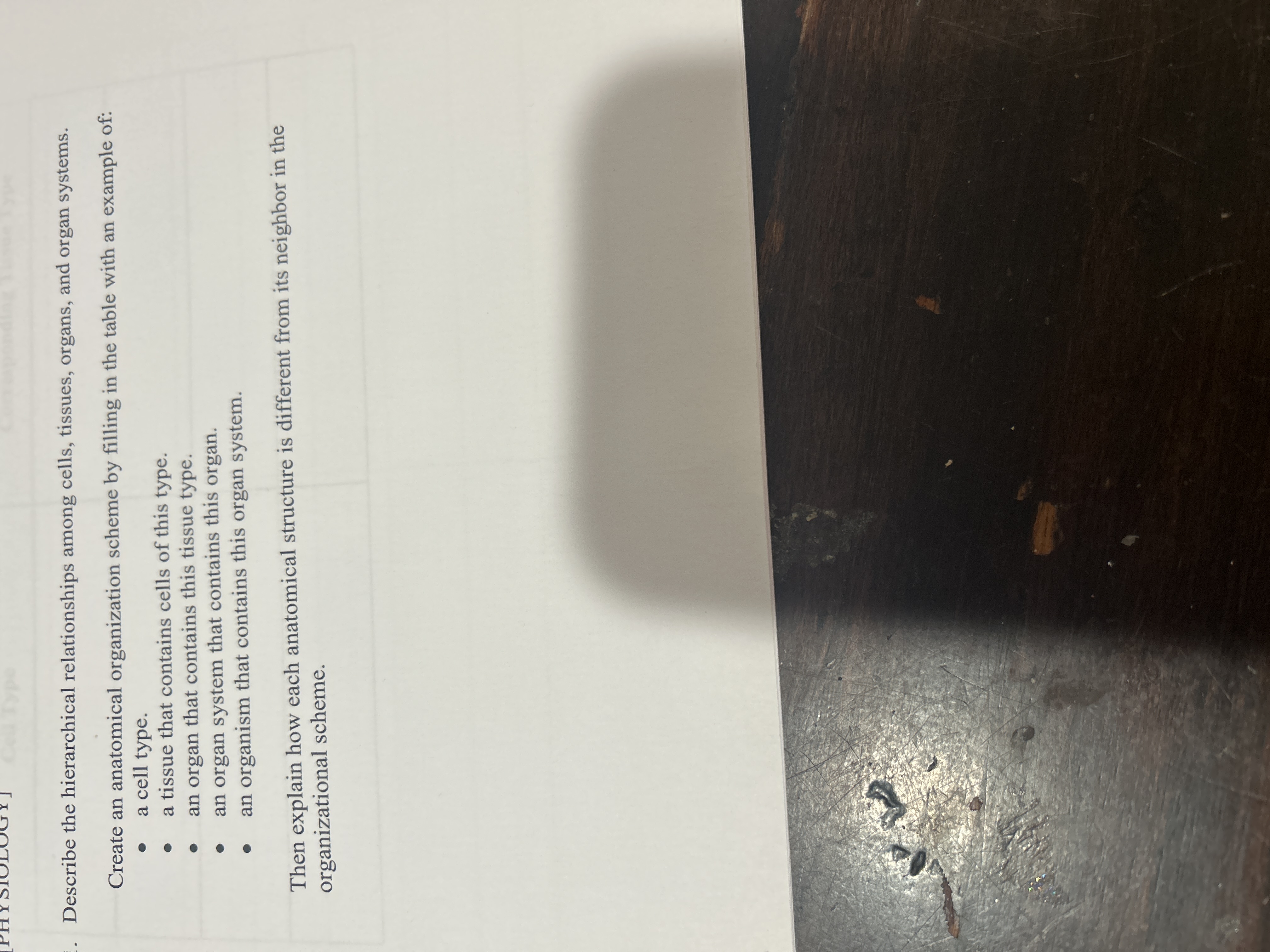 Solved Describe the hierarchical relationships among cells, | Chegg.com