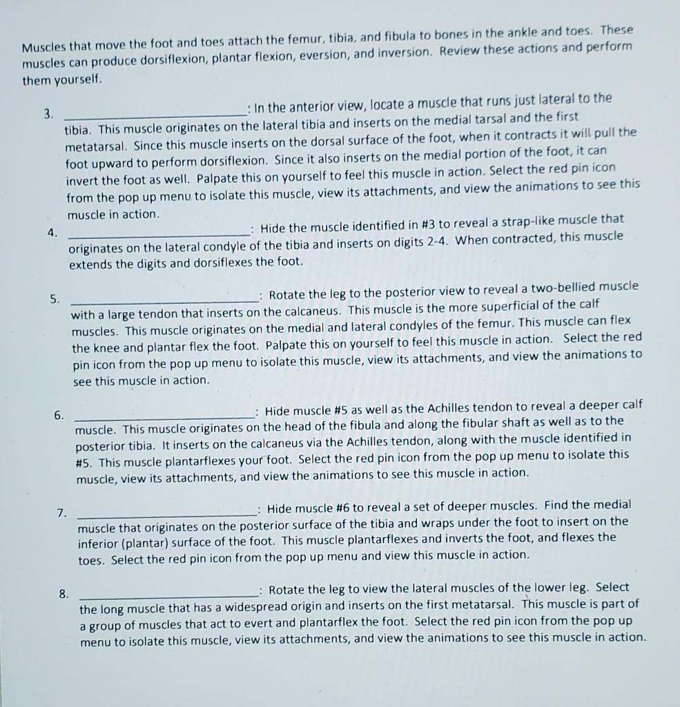 Solved PART 7: Muscles that Move the Lower Leg Muscles that | Chegg.com