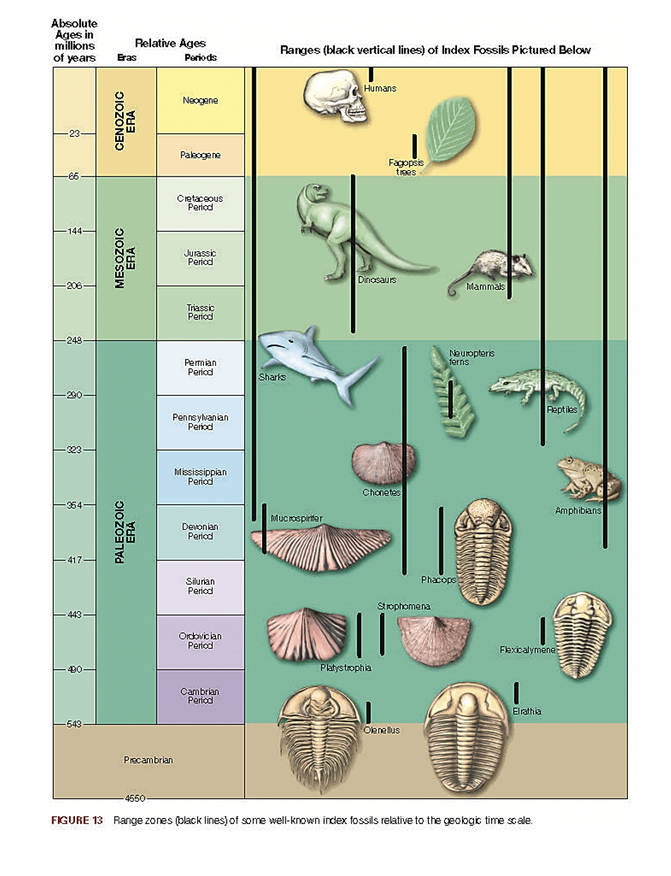Solved D c B B A FIGURE 2 This is a sequence of strata that | Chegg.com