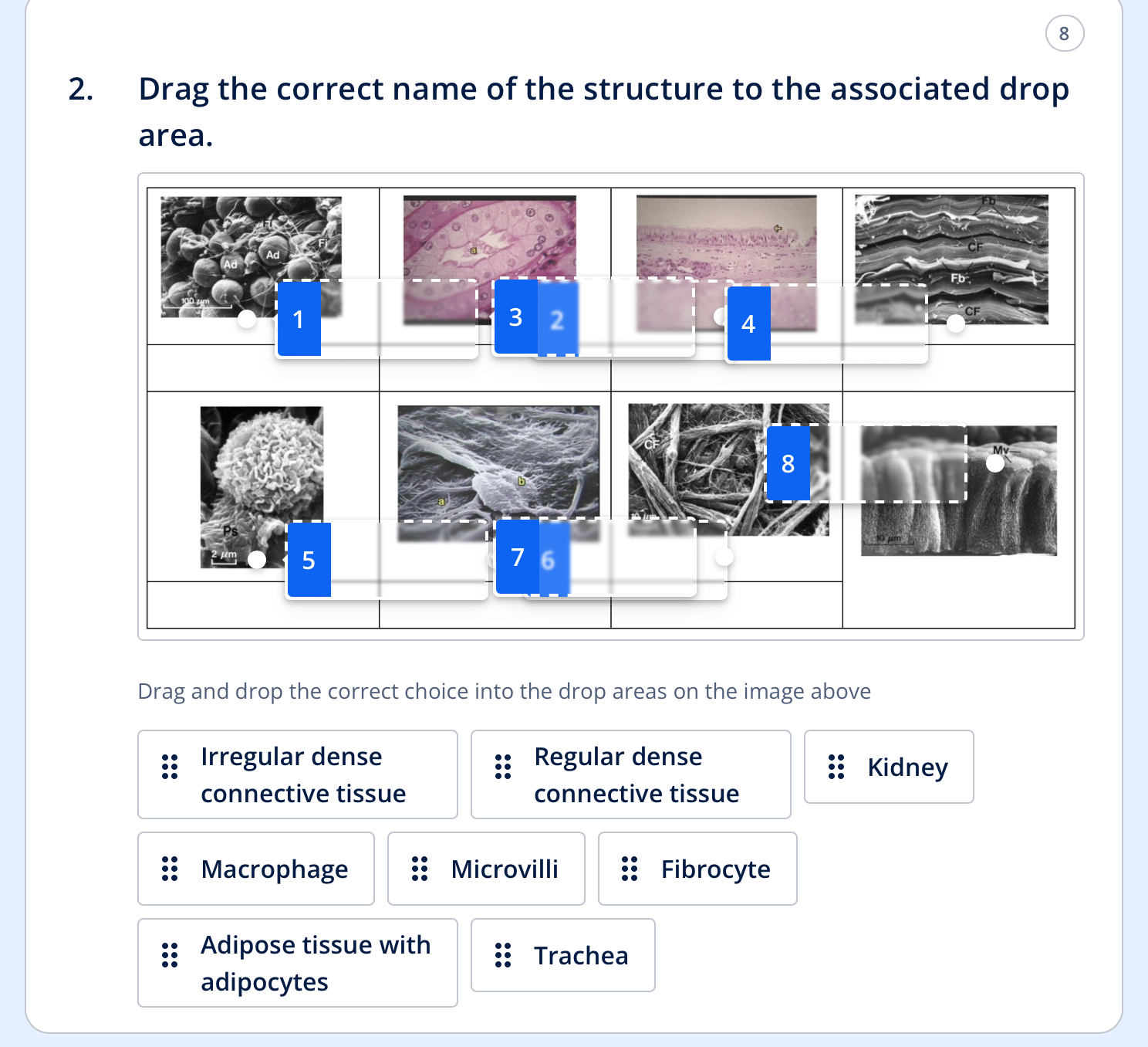Solved Drag the correct name of the structure to the | Chegg.com