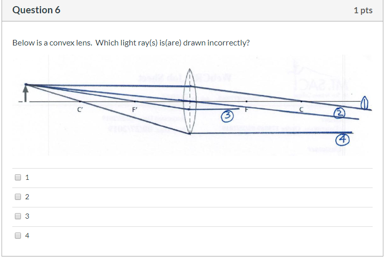 Solved Question 5 1 pts Below is a convex lens. Which light | Chegg.com