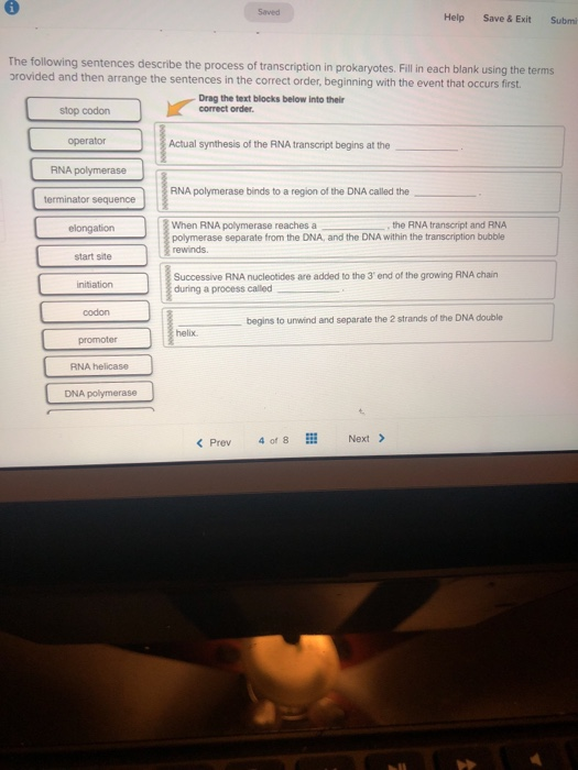 Solved Saved Help Save And Exit Submi The Following Sentences 