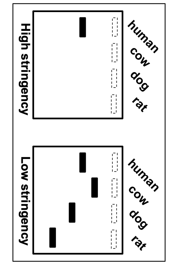 Solved Please answer all the steps. With clear writing. I | Chegg.com