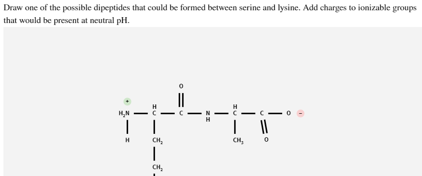 Solved Draw one of the possible dipeptides that could be | Chegg.com