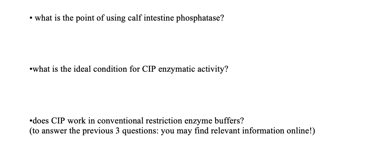 Solved см wies •Describe your results: for each fragment | Chegg.com