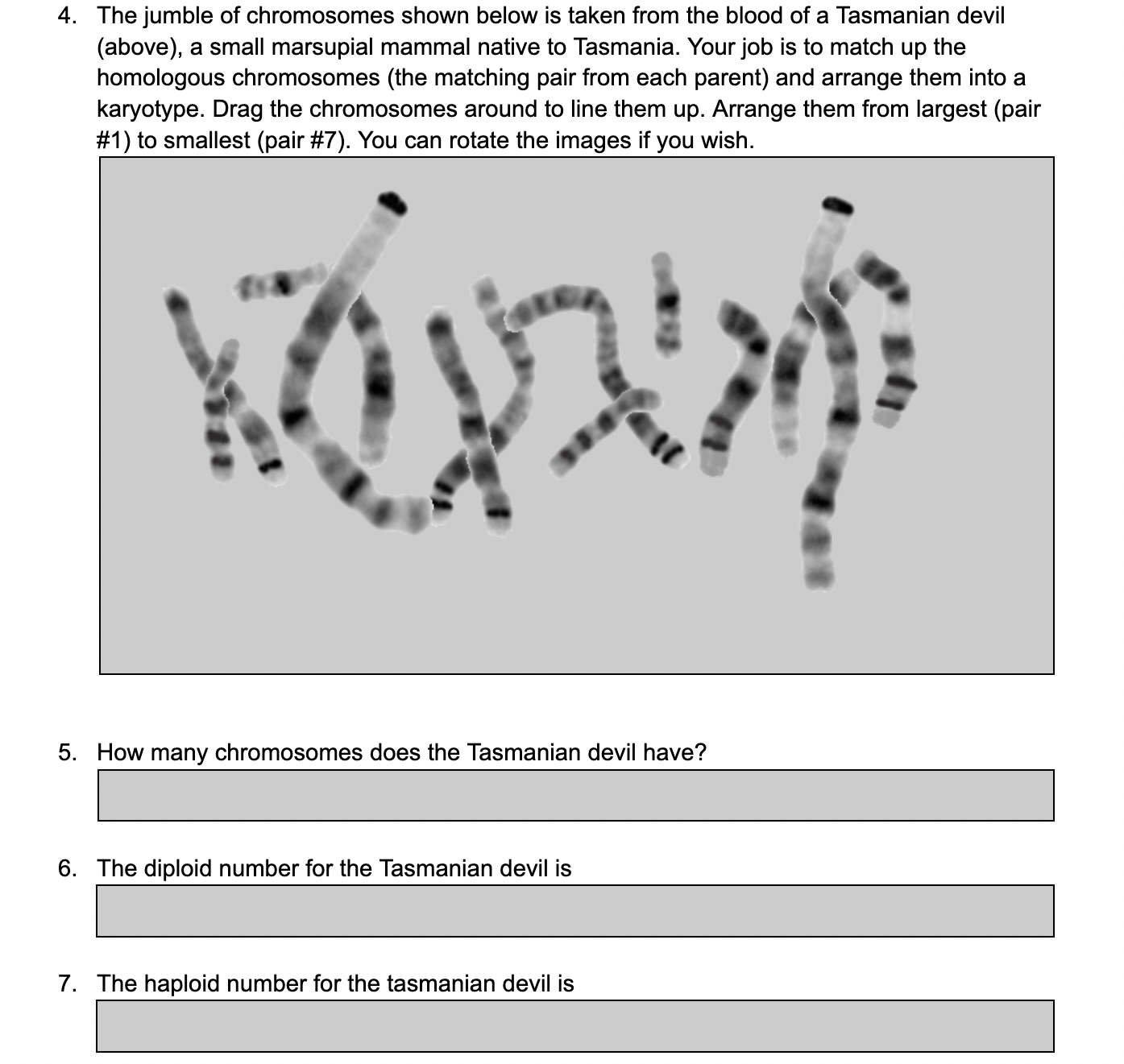 Solved The jumble of chromosomes shown below is taken from | Chegg.com