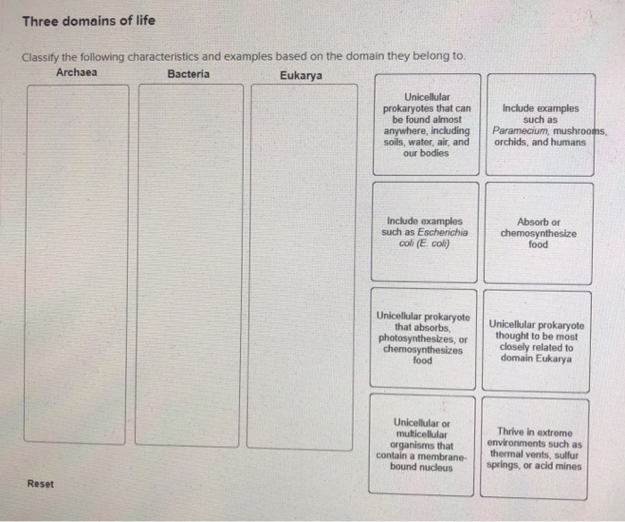 Solved Three domains of life Classify the following | Chegg.com Solved Three domains of life Classify the following | Chegg.com