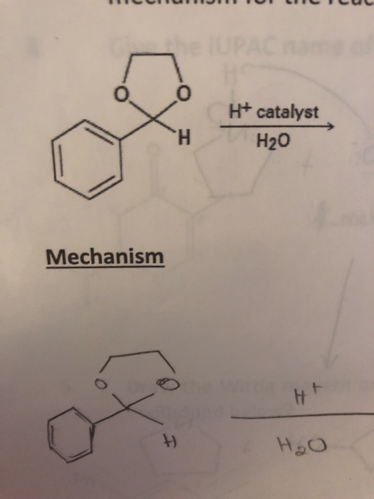 Solved H+ catalyst H20 Mechanism 4) | Chegg.com