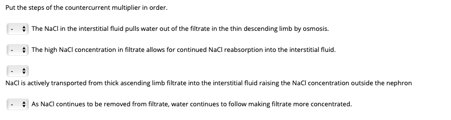 Solved Put the steps of the countercurrent multiplier in | Chegg.com