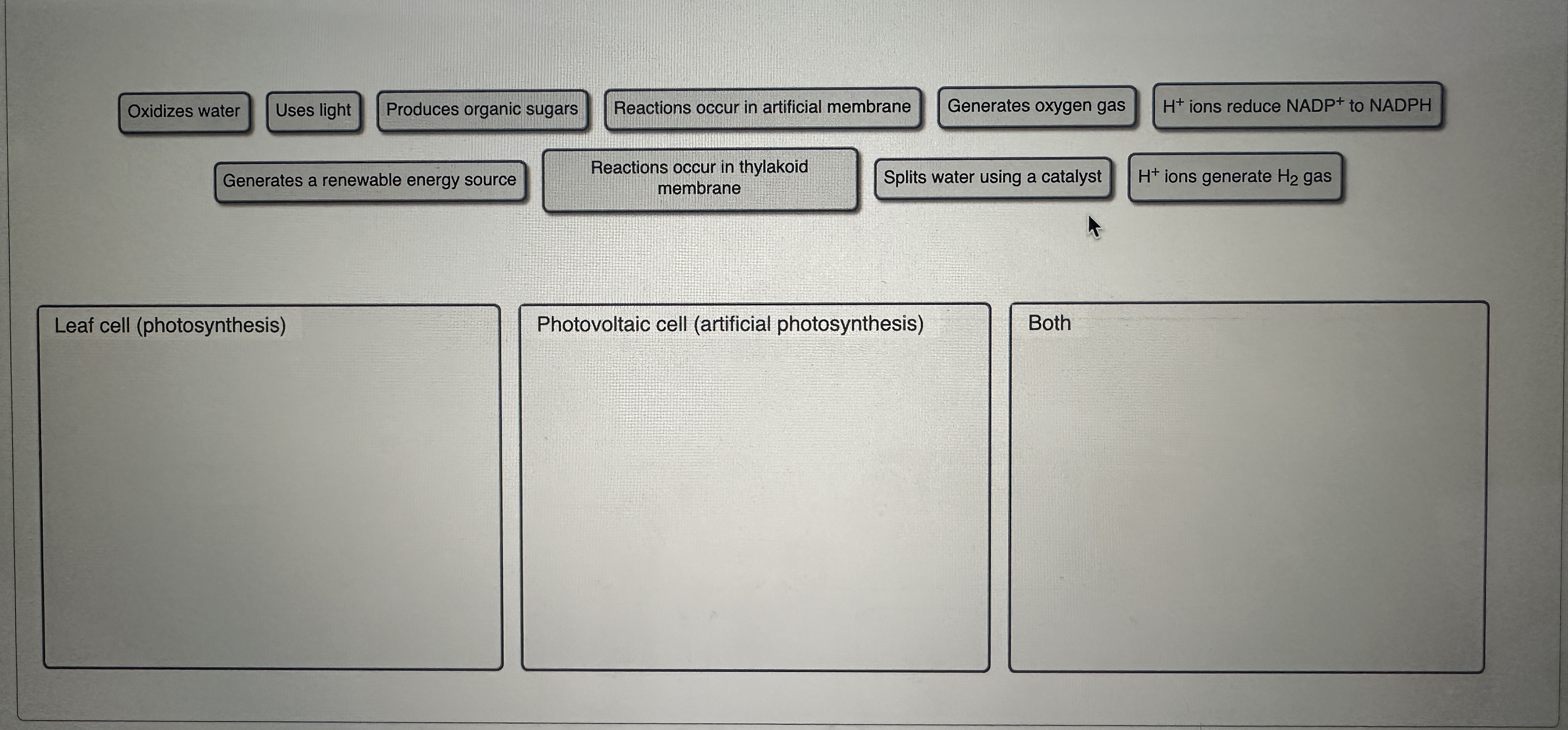 Solved Sort each item based on whether it relates to | Chegg.com