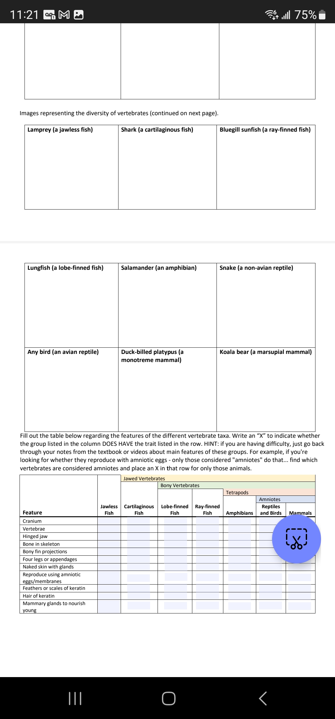 Solved Record your data and answers to questions within this | Chegg.com