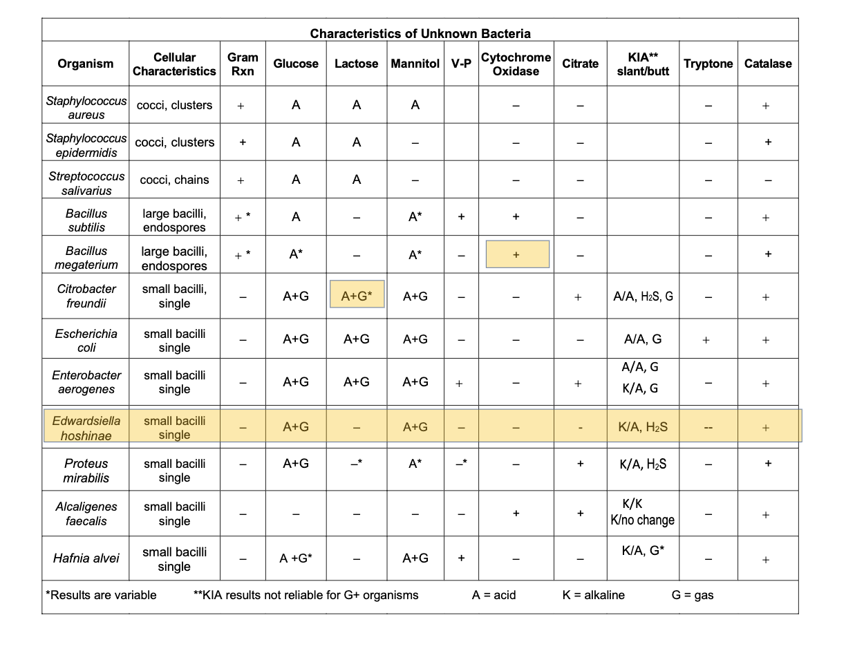 Characteristics of Unknown Bacteria Organism Cellular | Chegg.com