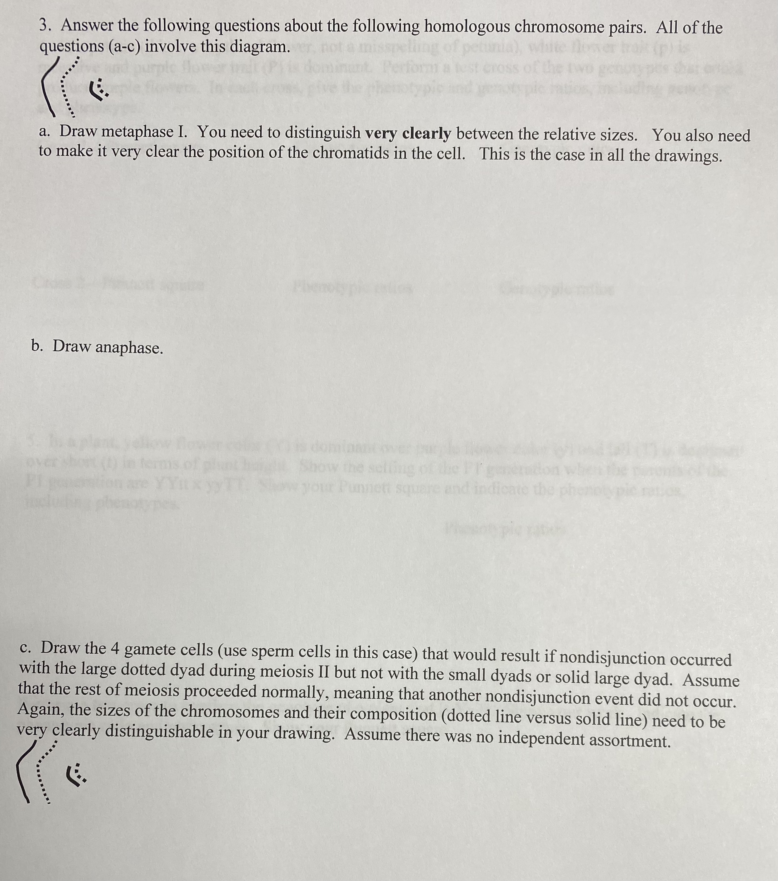 Solved 3. Answer the following questions about the following | Chegg.com