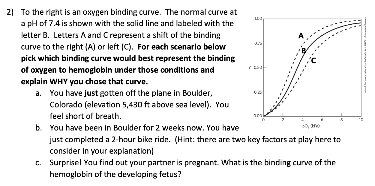 Solved 2) To the right is an oxygen binding curve. The | Chegg.com