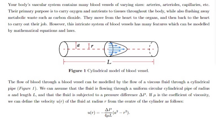 Solved Your body's vascular system contains many blood | Chegg.com