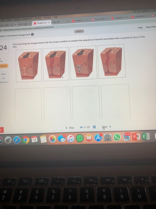Solved Help Seve& Chapter 5 Homework Assignment Correctly | Chegg.com
