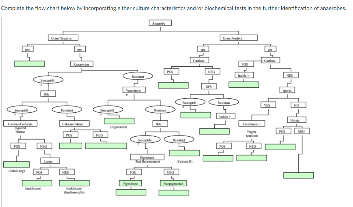 Solved Complete the flow chart below by incorporating either | Chegg.com