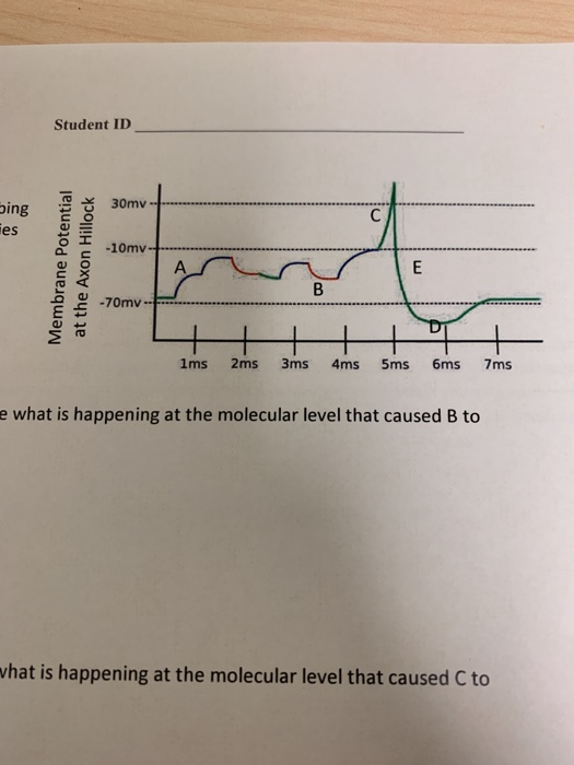 Solved Student ID bing30mv es a 10mv 70mv- 1ms 2ms 3ms 4ms | Chegg.com