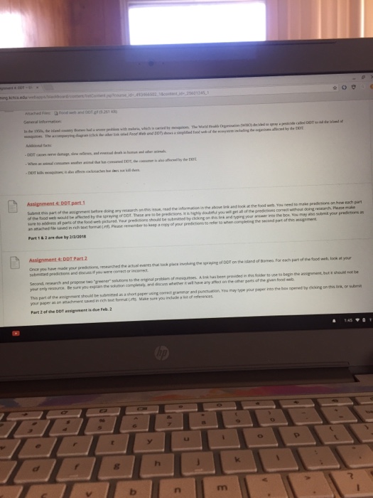 BORNEO FOOD WEB Mosquito Thatched Roof DDT affects | Chegg.com