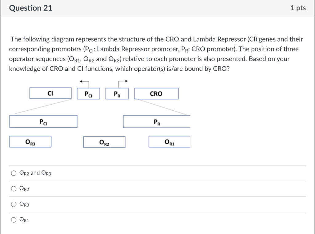 Solved The following diagram represents the structure of the | Chegg.com