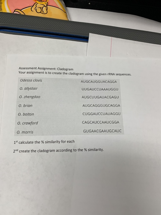 Solved Assessment Assignment: Cladogram Your assignment is | Chegg.com Solved Assessment Assignment: Cladogram Your assignment is | Chegg.com