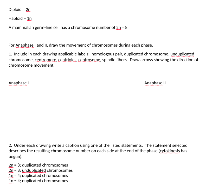 Diploid = 2n Haploid = 1n A mammalian germ-line cell | Chegg.com
