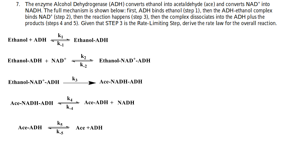 7. The enzyme Alcohol Dehydrogenase (ADH) converts | Chegg.com