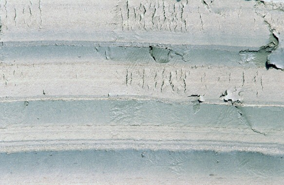 Solved PART A - Images and Definitions, 10 Marks Identify | Chegg.com