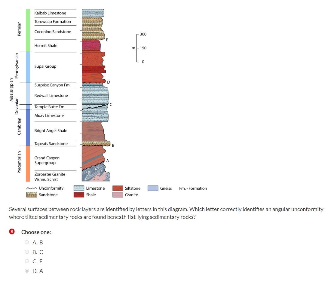 Solved Several surfaces between rock layers are identified | Chegg.com