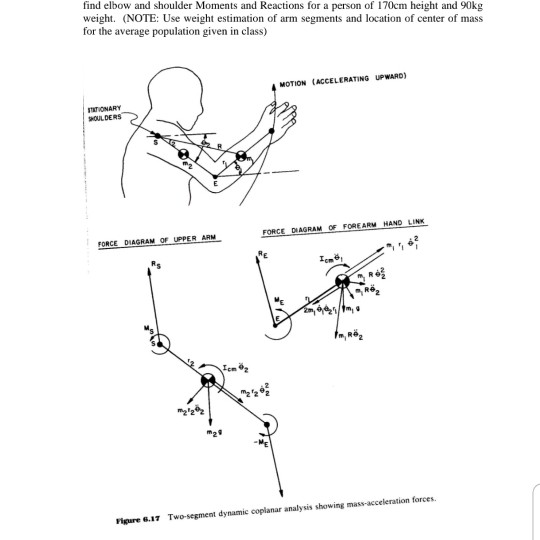 Solved weight. (NOTE: Use weight estimation of arm segments | Chegg.com