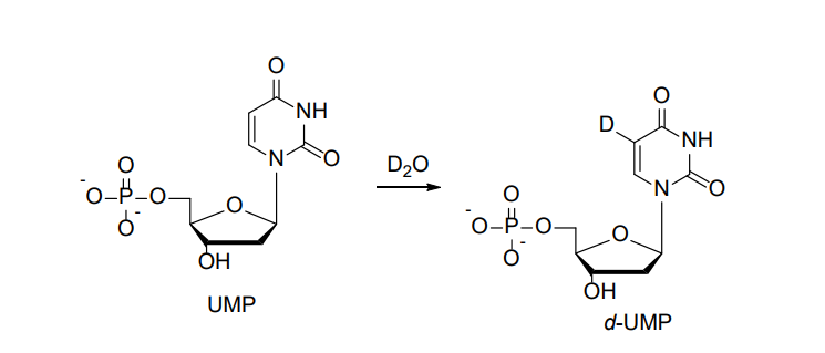 Solved Uridine monophosphate (UMP) undergoes a deuterium | Chegg.com