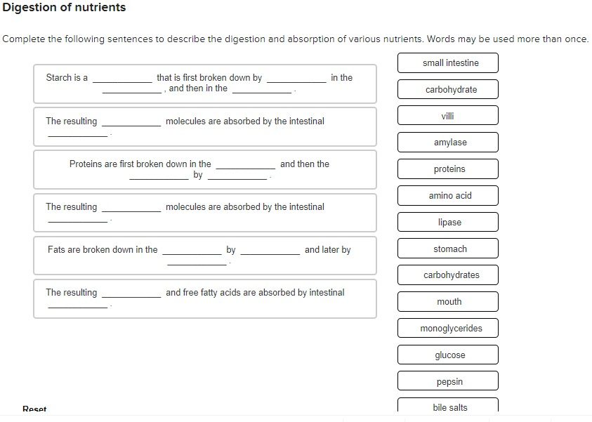 Solved Digestion of nutrients Complete the following | Chegg.com