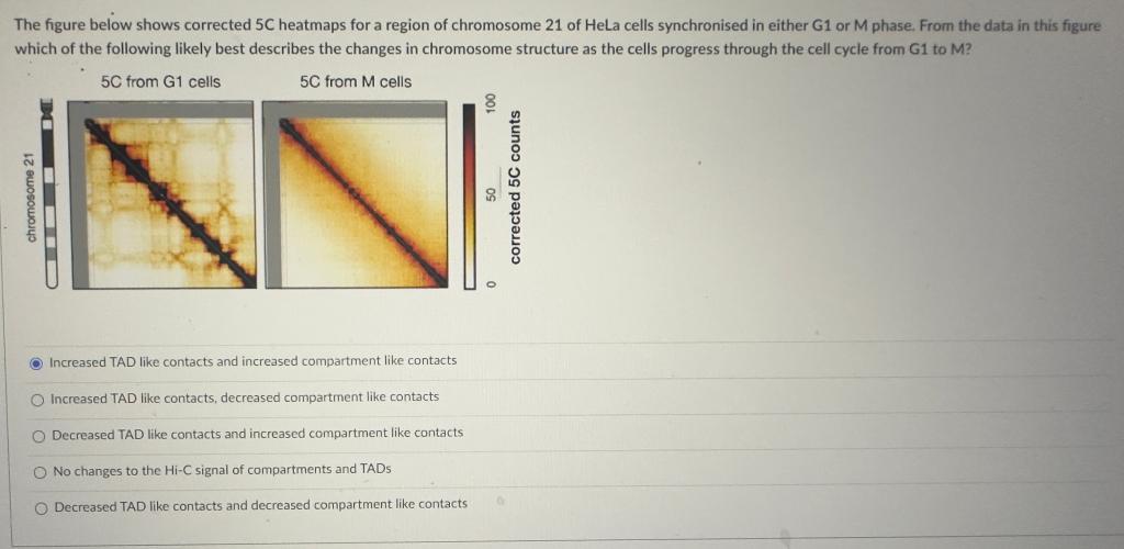 The figure below shows corrected 5C heatmaps for a | Chegg.com