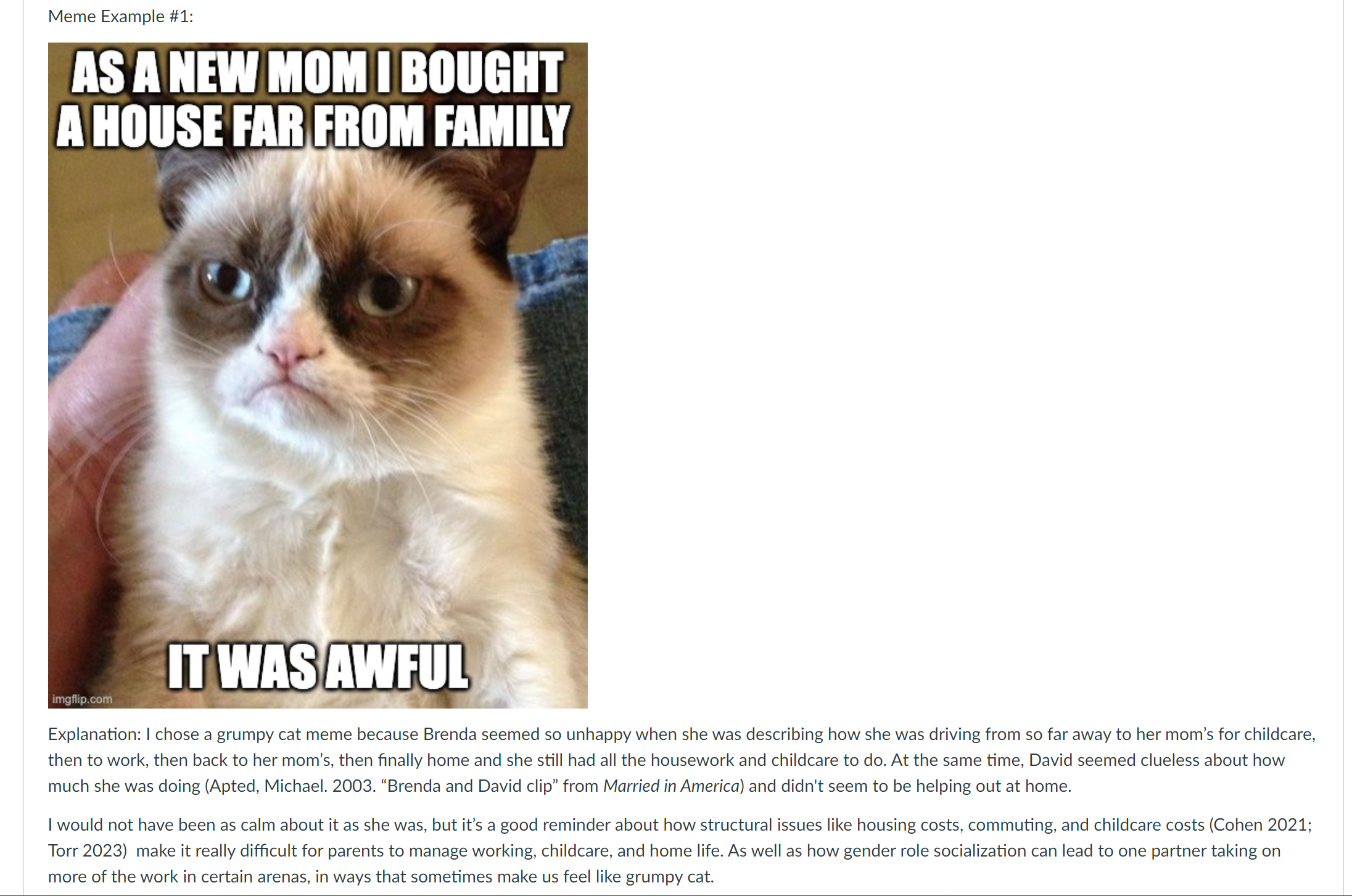 For this meme assignment, I would like you to share | Chegg.com