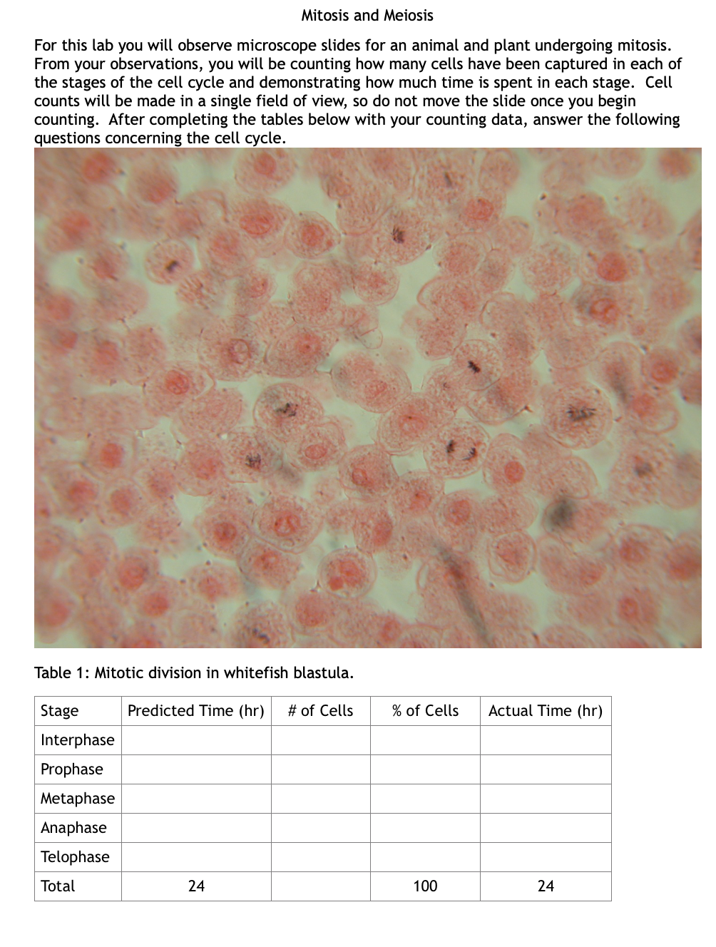 Solved Mitosis and Meiosis For this lab you will observe | Chegg.com