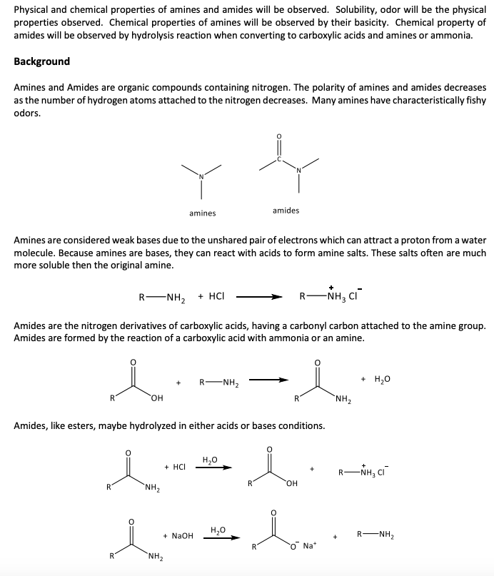 Solved Physical and chemical properties of amines and amides | Chegg.com