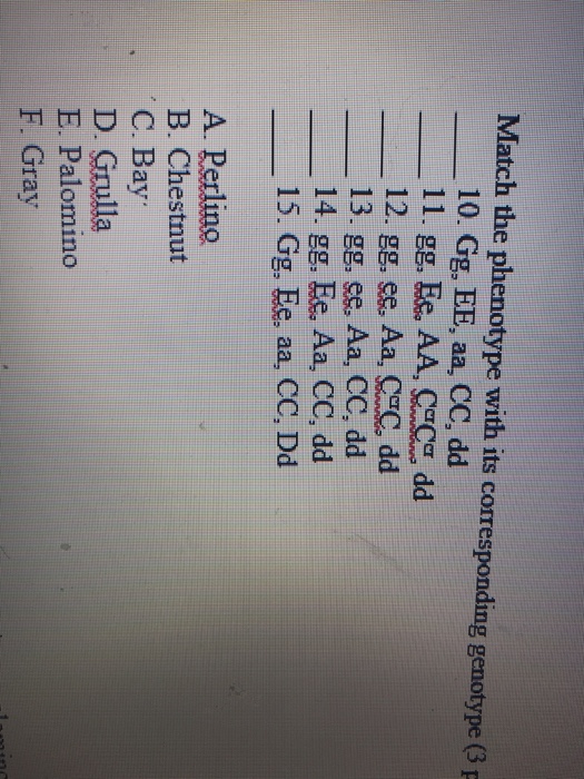 Solved Match the phenotype with its corresponding genotype | Chegg.com