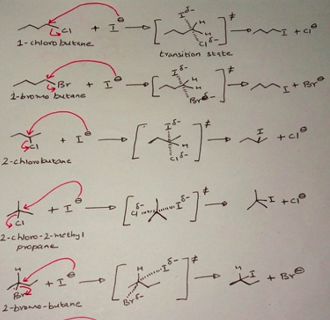 Show mechanisms for the following SN1 With | Chegg.com