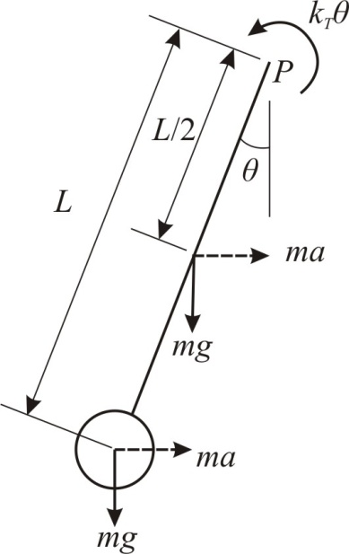 Solved: Chapter 6 Problem 13P Solution | Engineering Mechanics 8th ... Solved: Chapter 6 Problem 13P Solution | Engineering Mechanics 8th ...