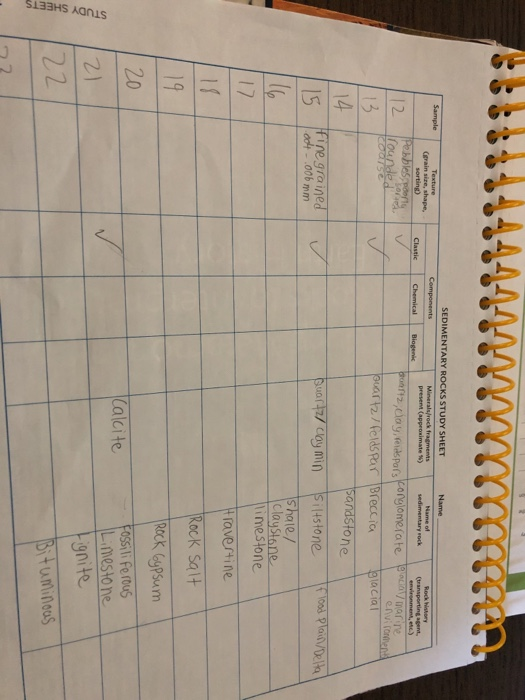 Solved SEDIMENTARY ROCKS STUDY SHEET present (approximate) | Chegg.com