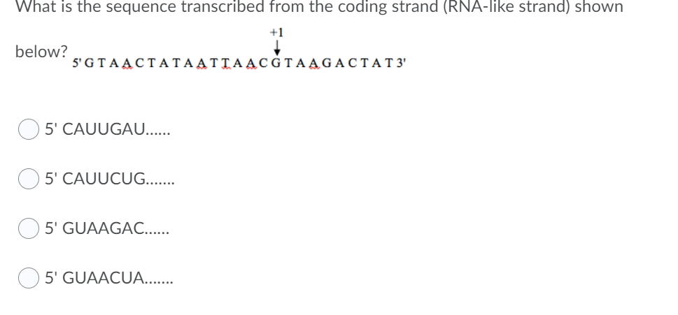Solved What is the sequence transcribed from the coding | Chegg.com