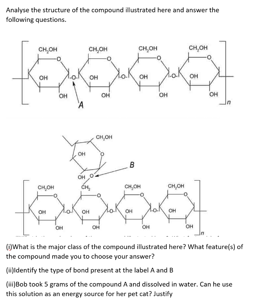 Solved Analyse the structure of the compound illustrated | Chegg.com