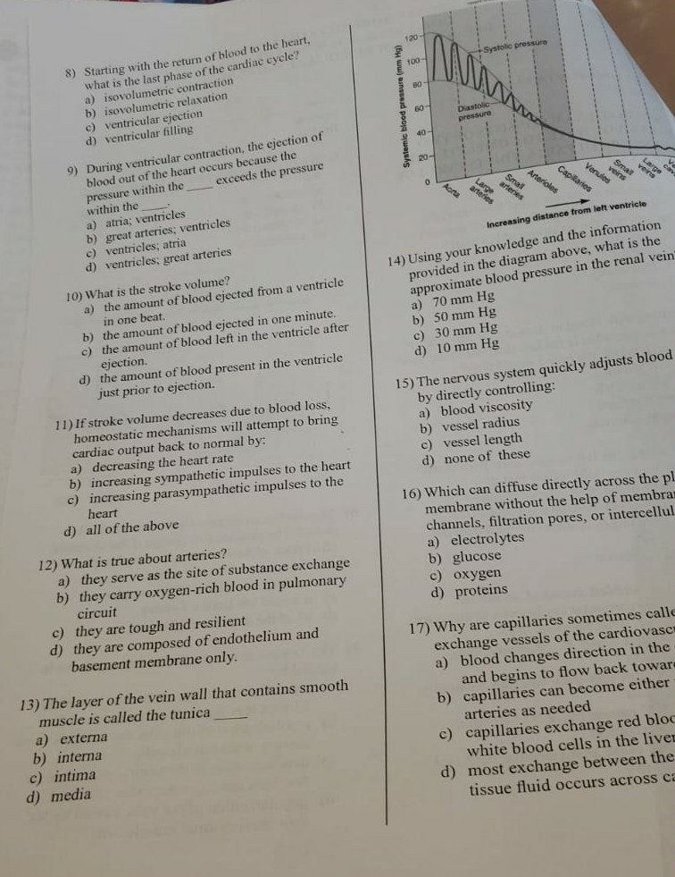 Solved Systolic pressure Systemic blood pressure (mm Hg | Chegg.com