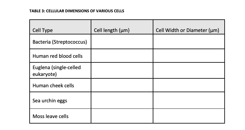EXERCISE 5: CALCULATION OF CELL SIZE AND DIAMETER OF | Chegg.com