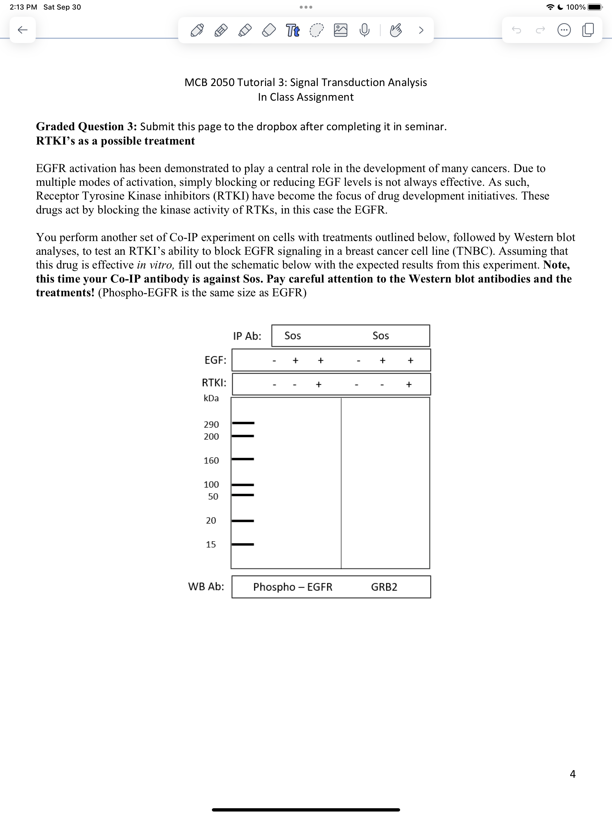Solved MCB 2050 Tutorial 3: Signal Transduction Analysis In | Chegg.com