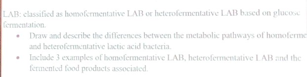 Solved (Q1) LAB: classified as homofermentative LAB or | Chegg.com